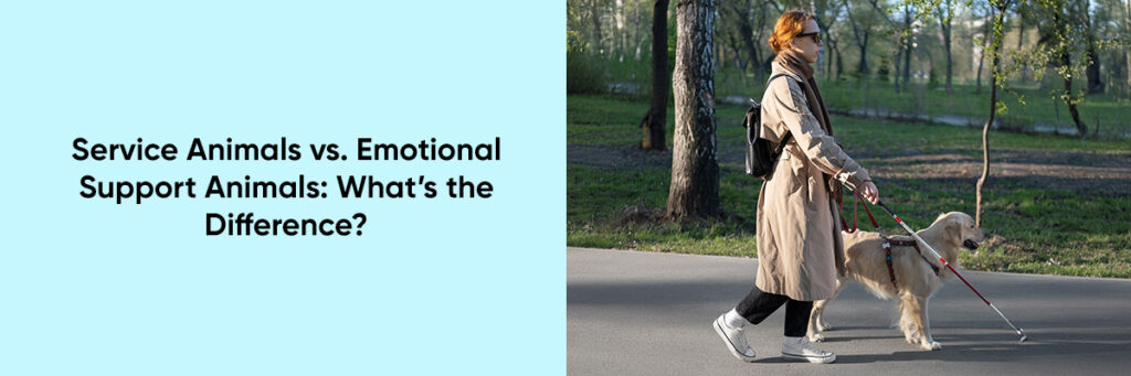 Service Animals vs. Emotional Support Animals: What’s the Difference ...