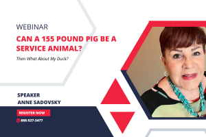 Webinar: How to Create Job Rotation Program in 2020 - Compliance Prime